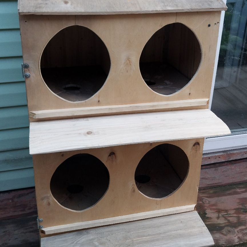 Гнездо для кур с яйцесборником