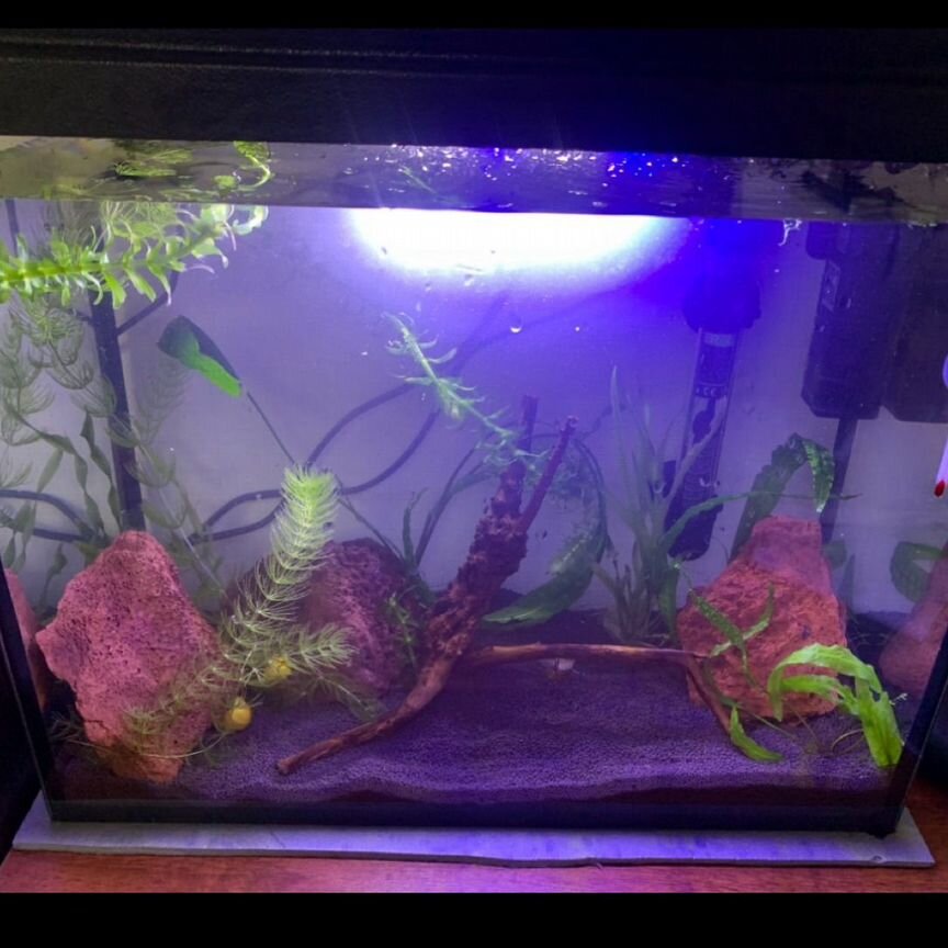 Аквариум 25 литров