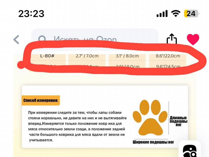 Обувь для собак