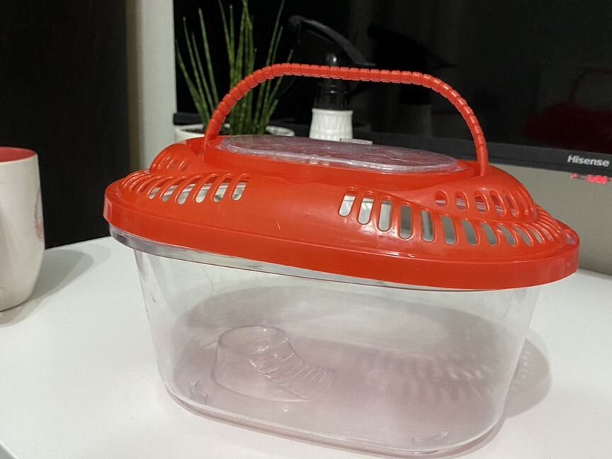 Аквариум для черепахи