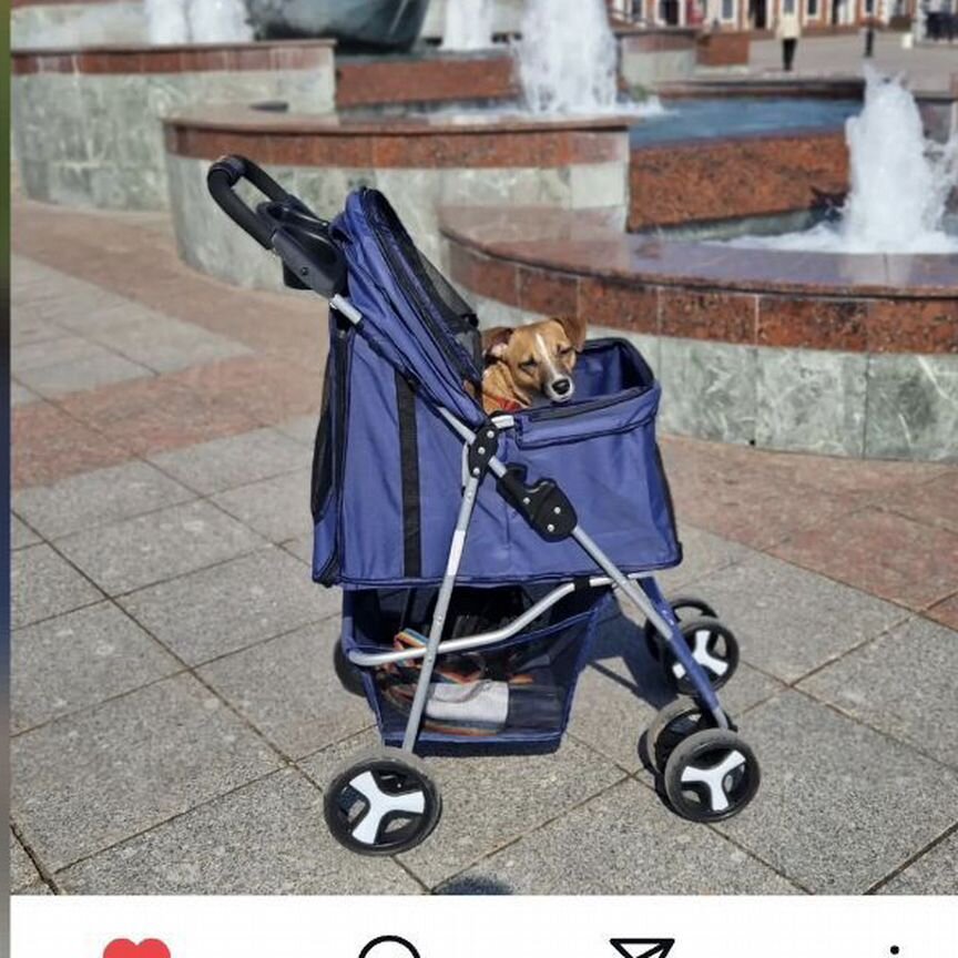 Коляска для собак