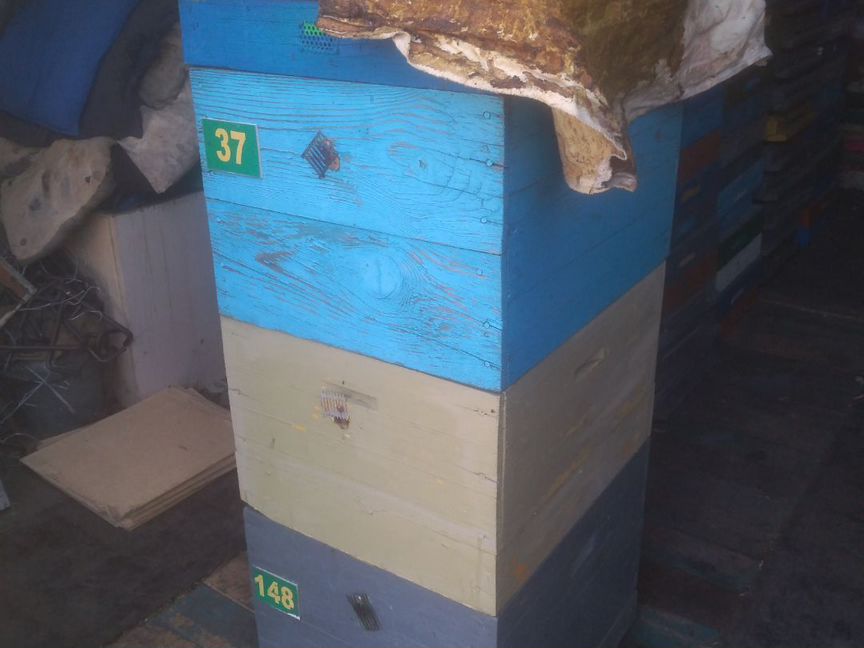 Ульи для пчел на 8,10,12 и 16 рамок