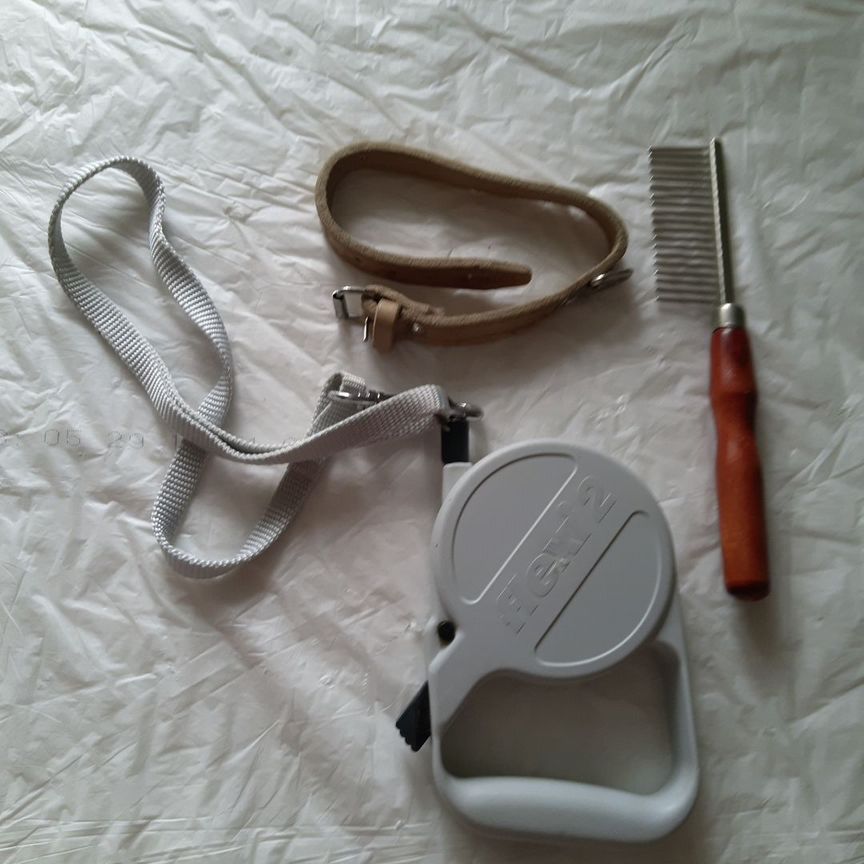 Поводок рулетка и ошейник для собак