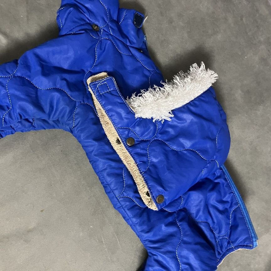 Костюм для собаки