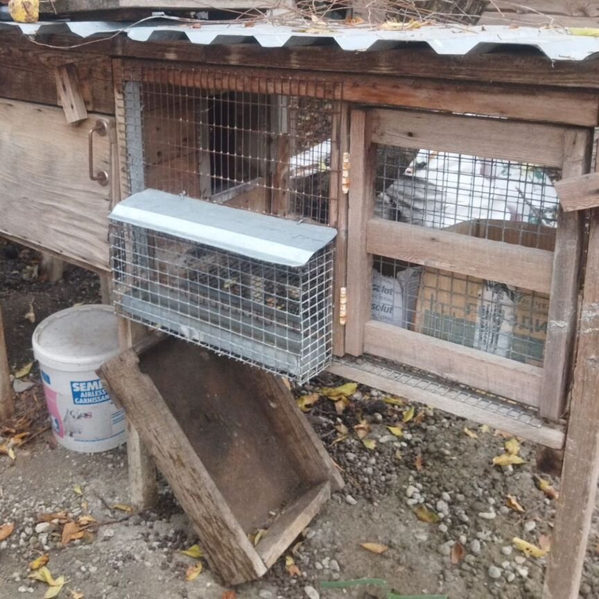 Клетки для кроликов