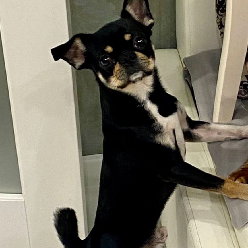 Поиск подруги