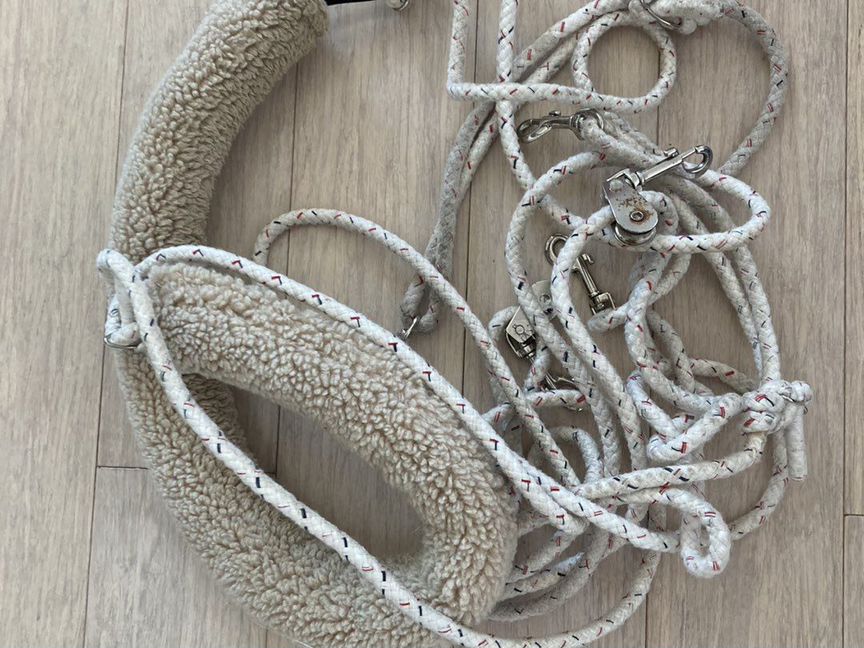 Шлея Пессоа