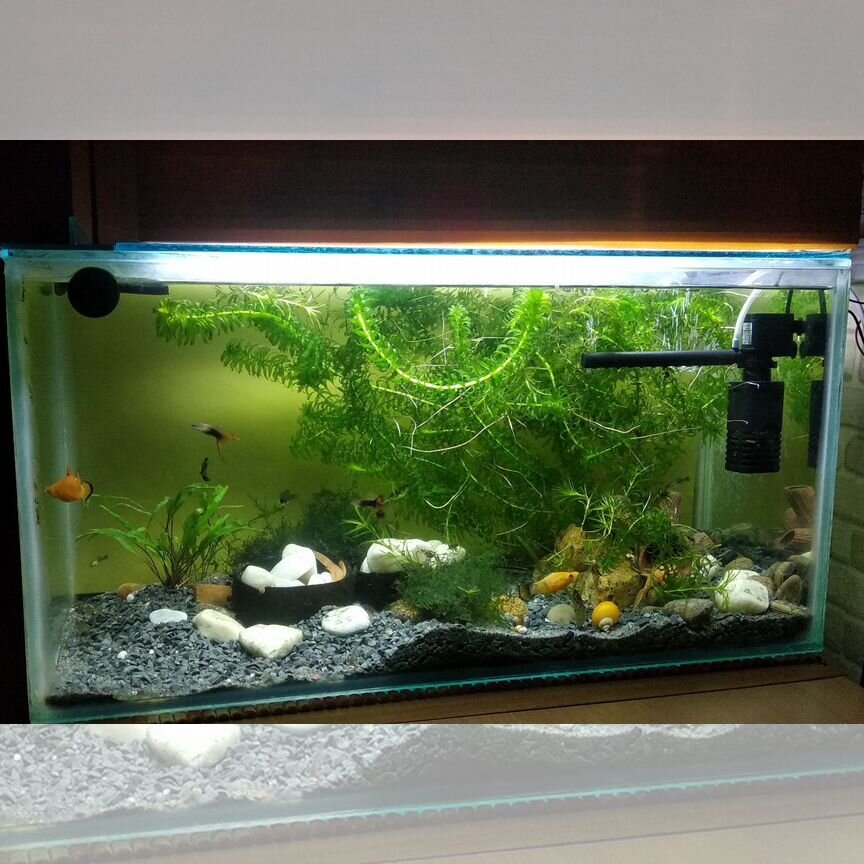 Аквариумы и комплектующие продам