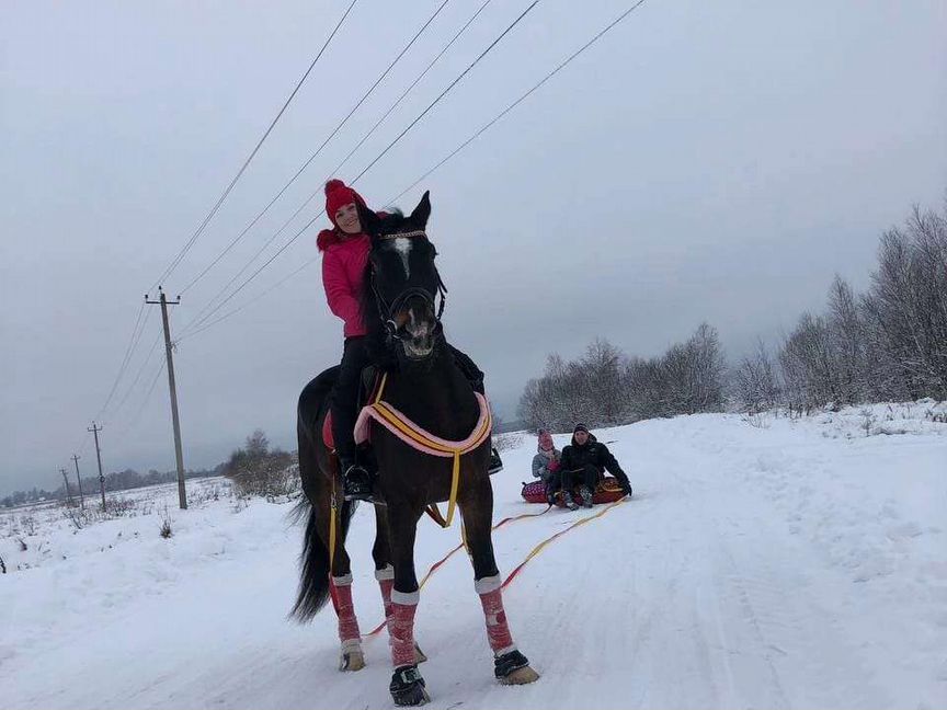 Шорки для скиджоринга
