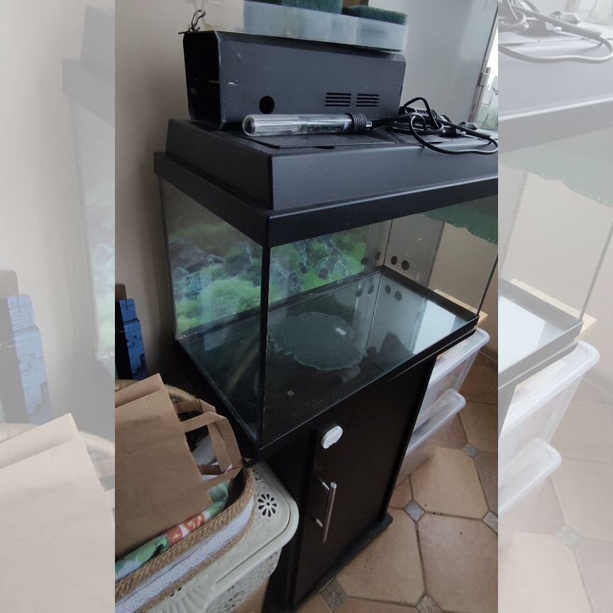 Аквариум в полном комплекте