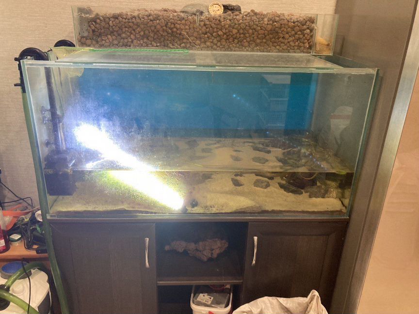 Аквариумы большие и маленькие