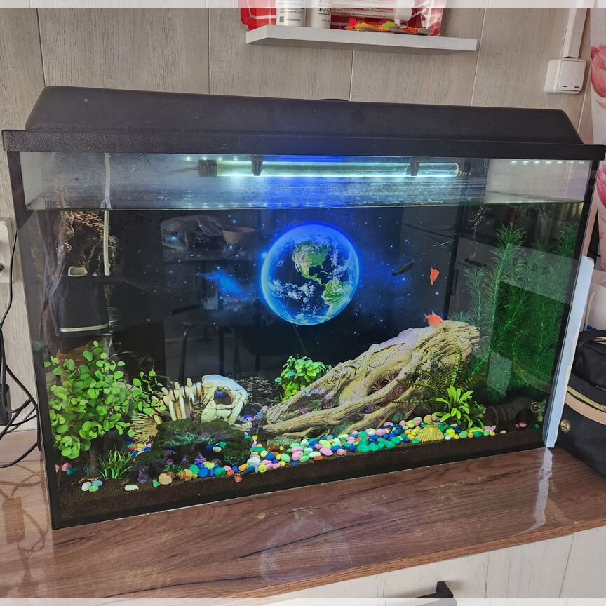Аквариум с рыбками 100 литров