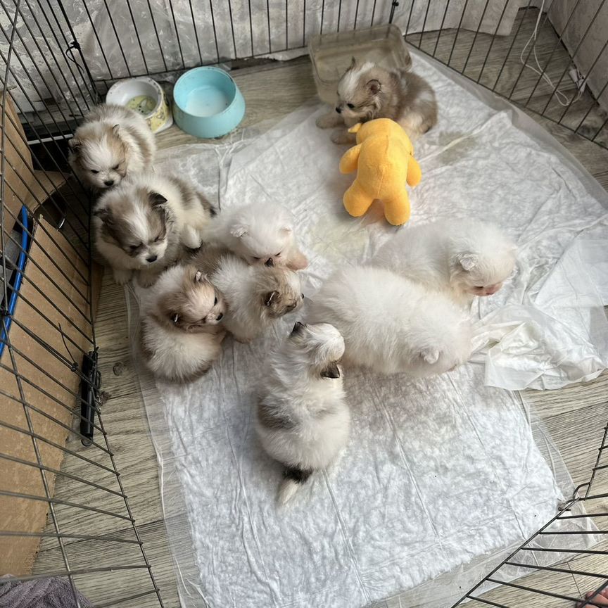 Детки конфетки мальчики