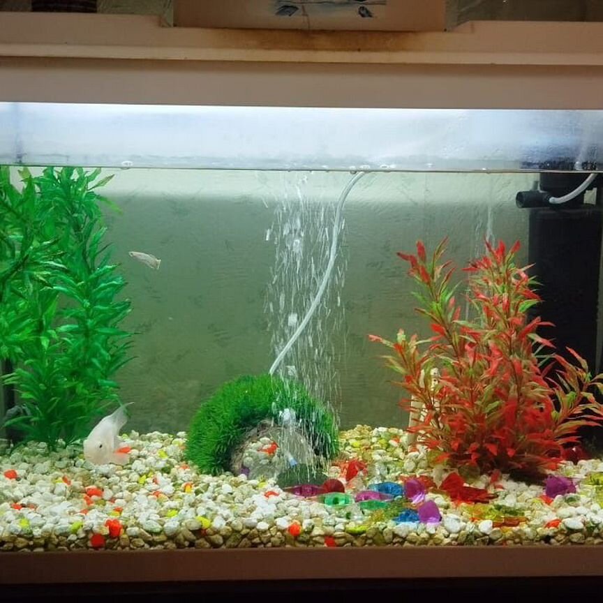 Аквариум 80л