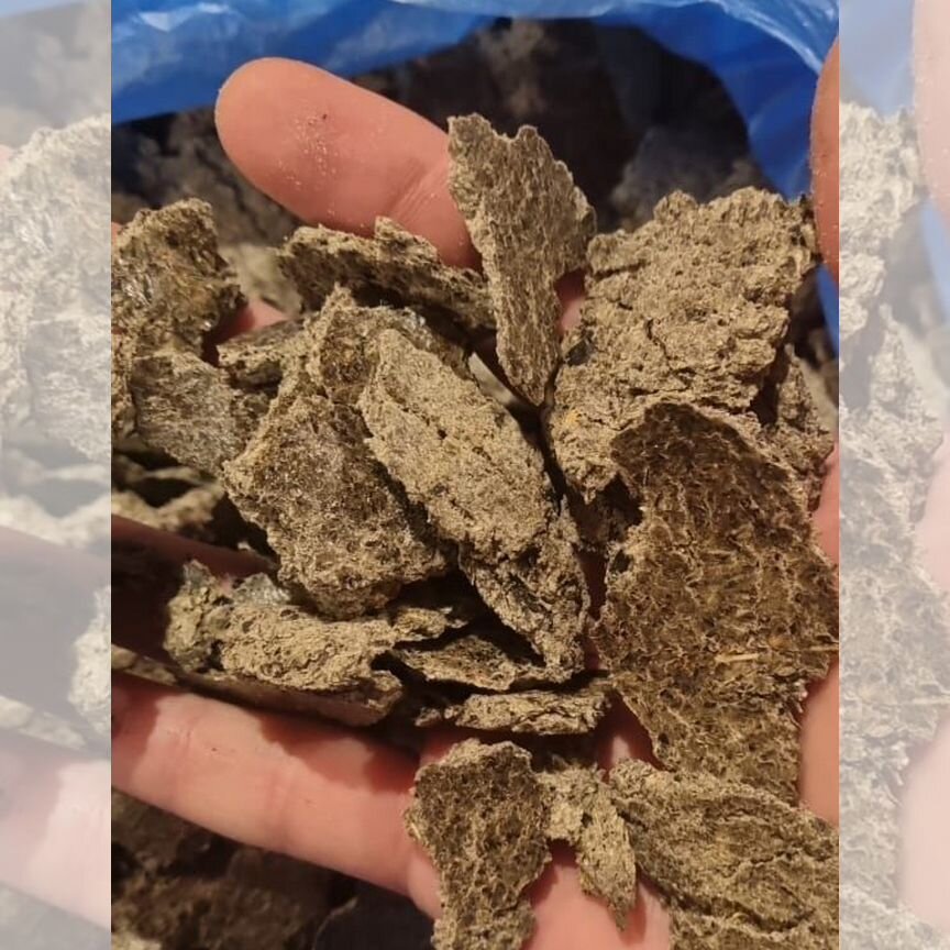 Жмых подсолнечный (ракушка)