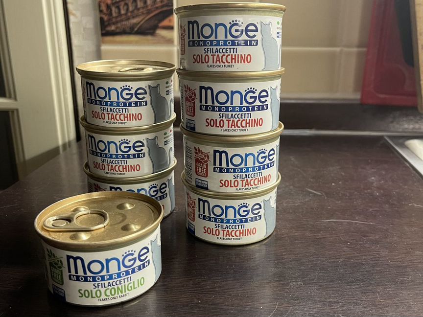 Корм для кошек Monge monoprotein влажный