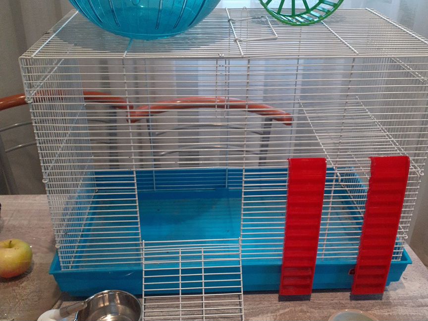 Клетка для грызунов бу