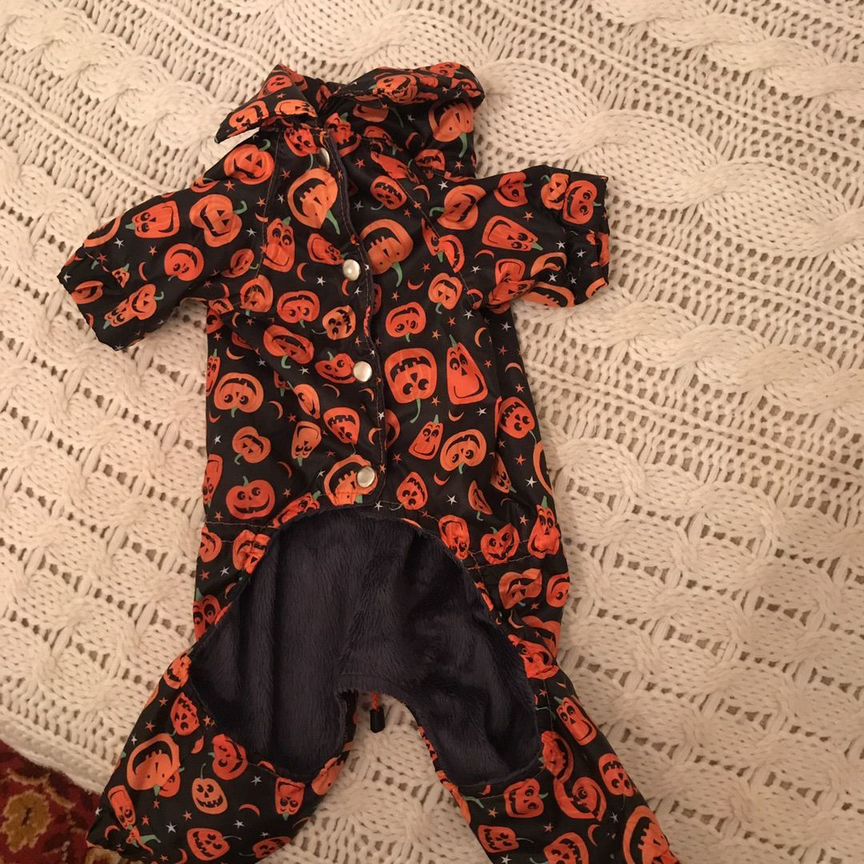 Костюмчик для собаки