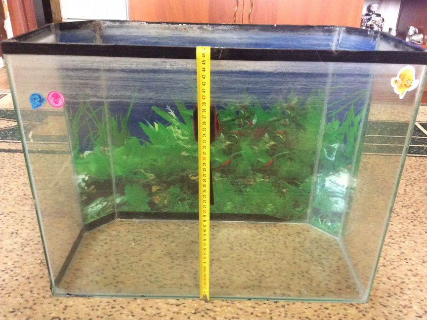 Аквариум,террариум,фильтр