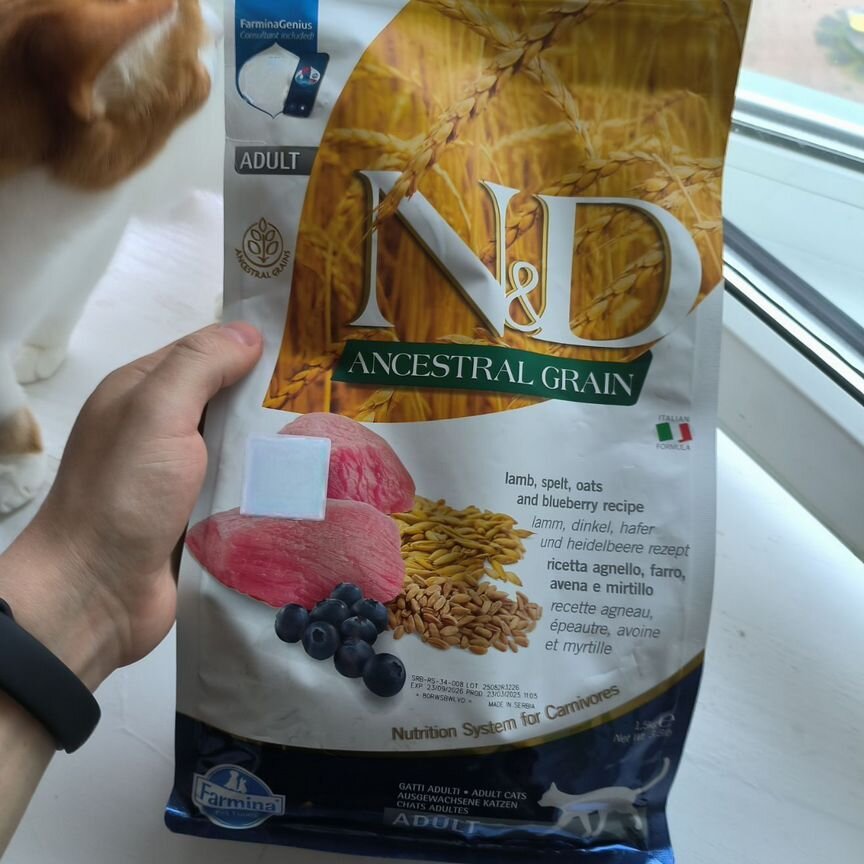 Farmina N&D Ancestral Grain Фармина черника