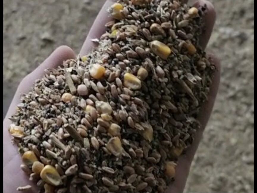 Зерносмесь