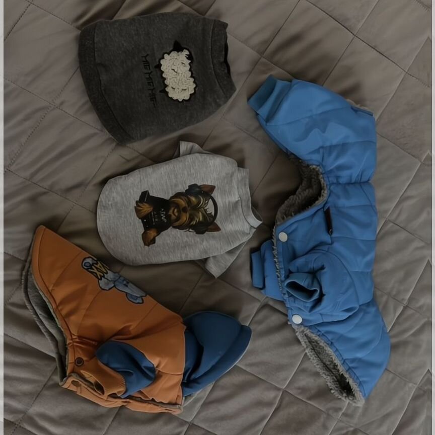 Одежда для маленьких собак s