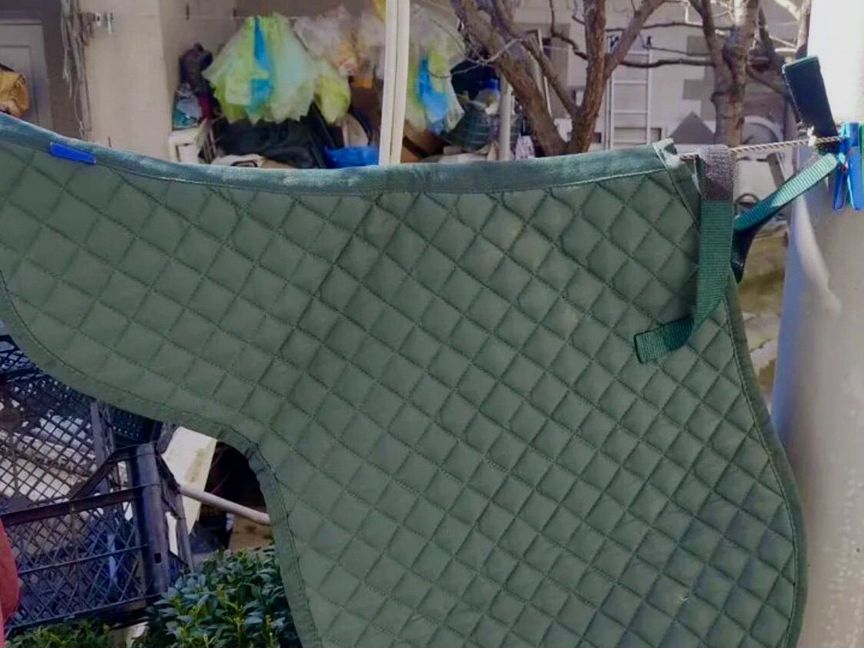 Вальтрап для лошади