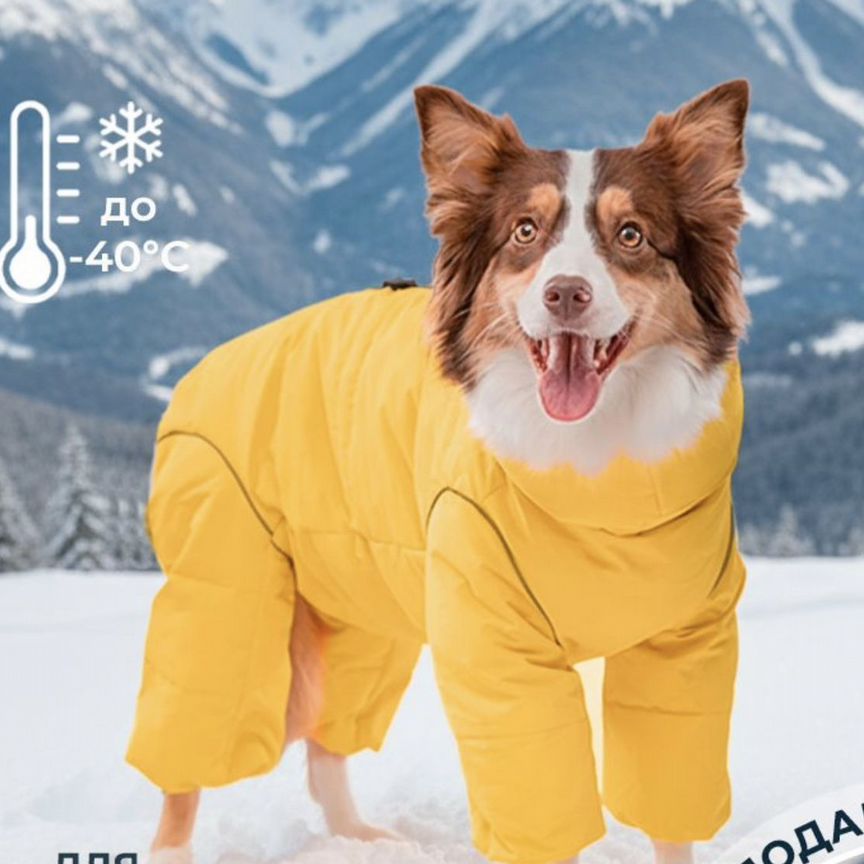 Теплый комбинезон для собаки девочки Шнурок М/L