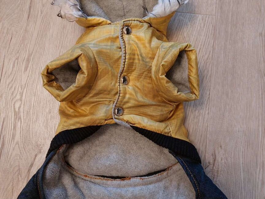 Комбинезон,ботиночки,пеленка для маленькой собаки