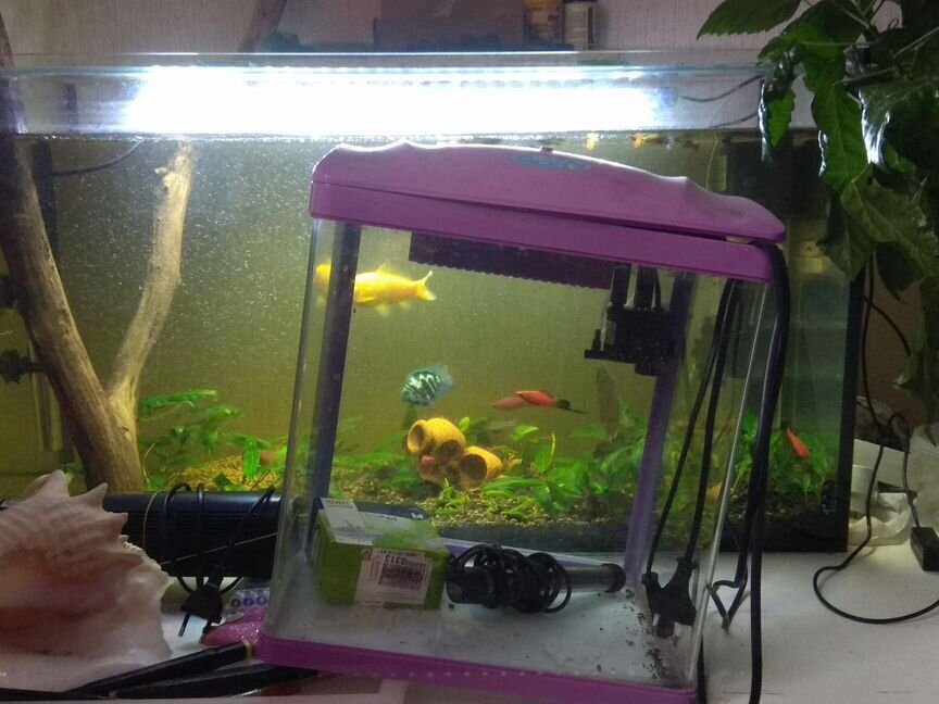 Аквариум с подсветкой, фильтром и обогревателем