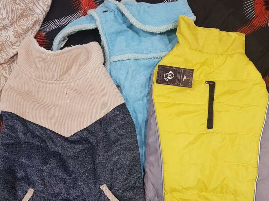 Одежда для собаки