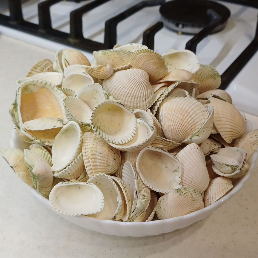 Ракушки морские 750 гр