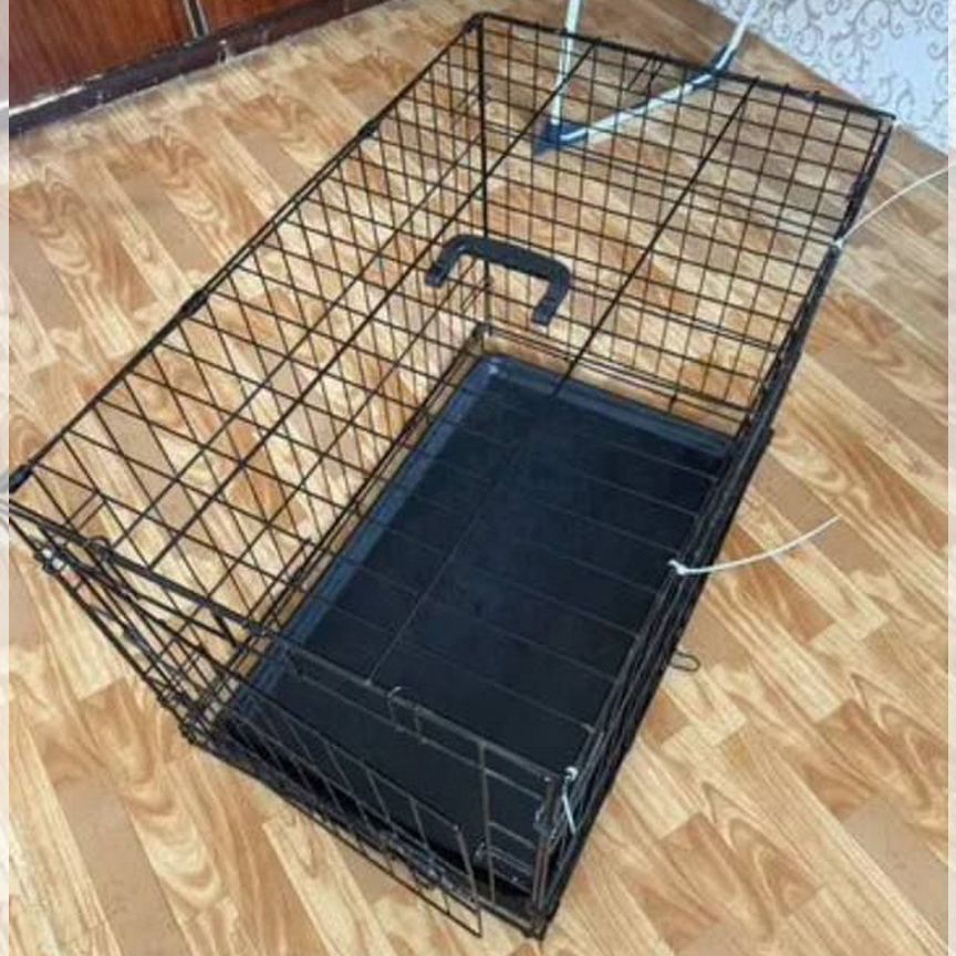 Вальтер для собак