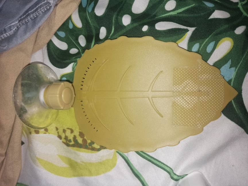 Островок для черепахи