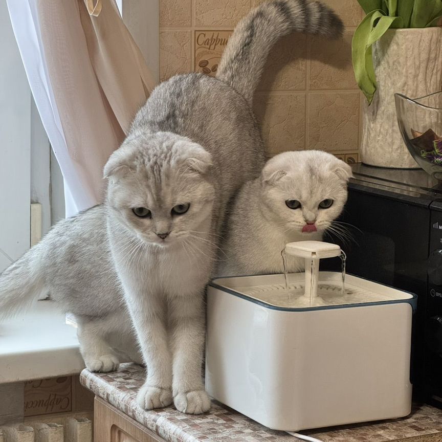 Автопоилка