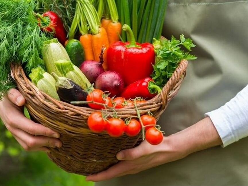 Корма для сельскохозяйственных животных