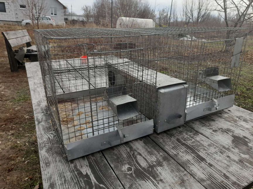 Клетка для разведения шиншилл