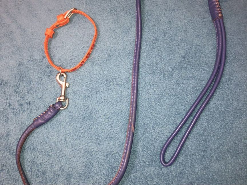 Ошейник с поводком