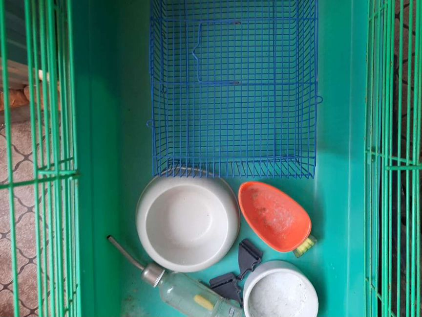 Клетка, 3 мисочки, поильник