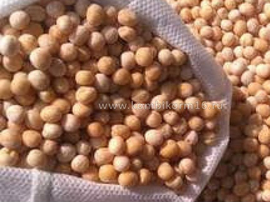 Горох фуражный, кукуруза, семечка