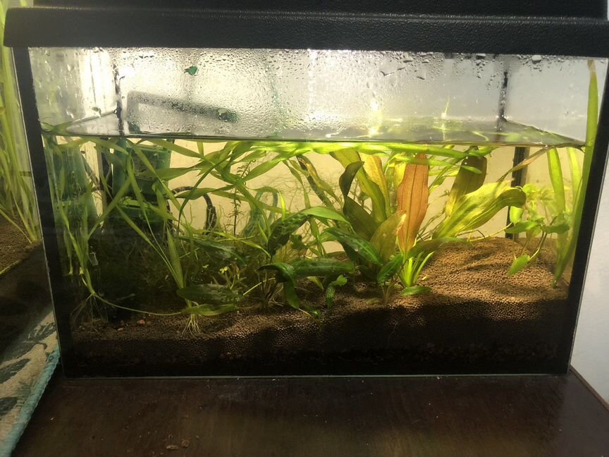 Аквариум 10, 45 литров