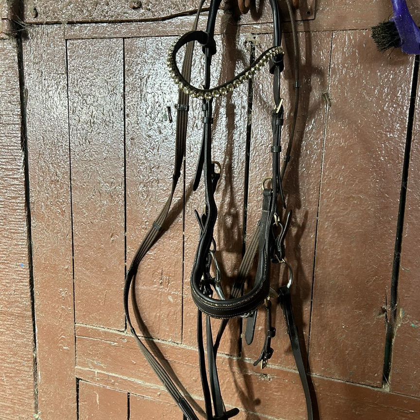 Уздечка для лошади full