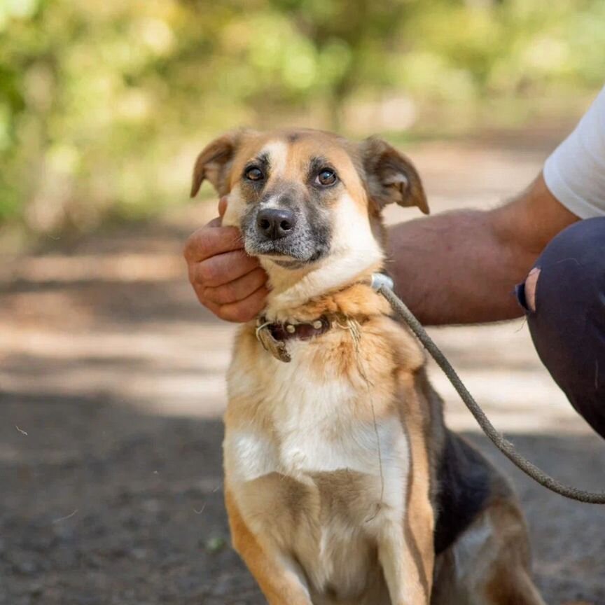 Фундук уже без уха пока ждет хозяина