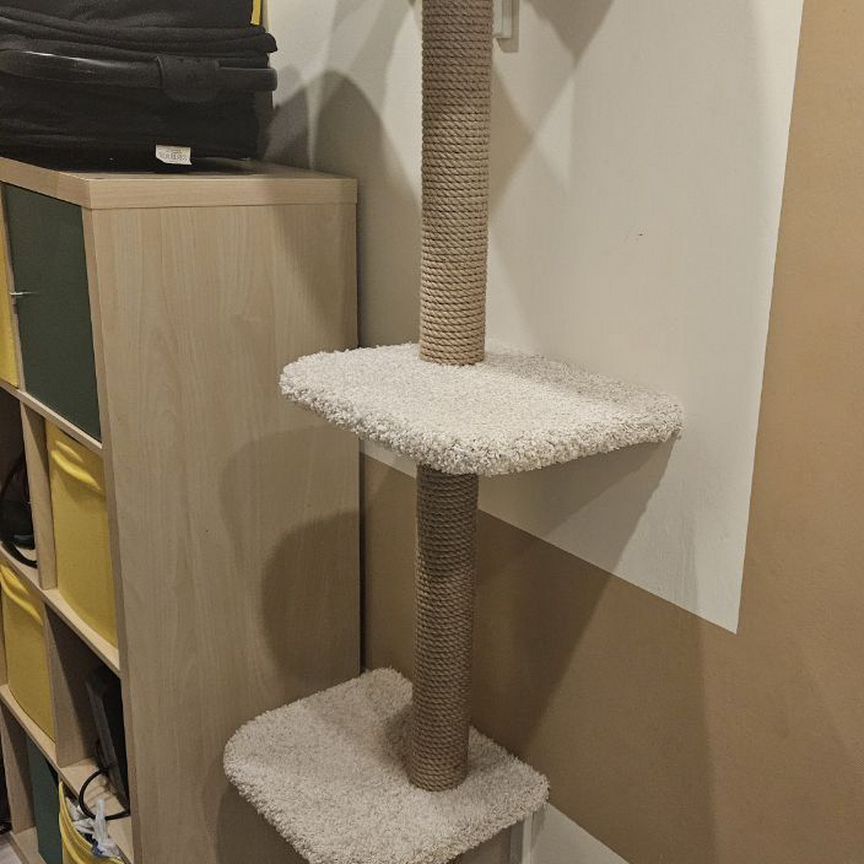 Когтеточка комплекс для кошки