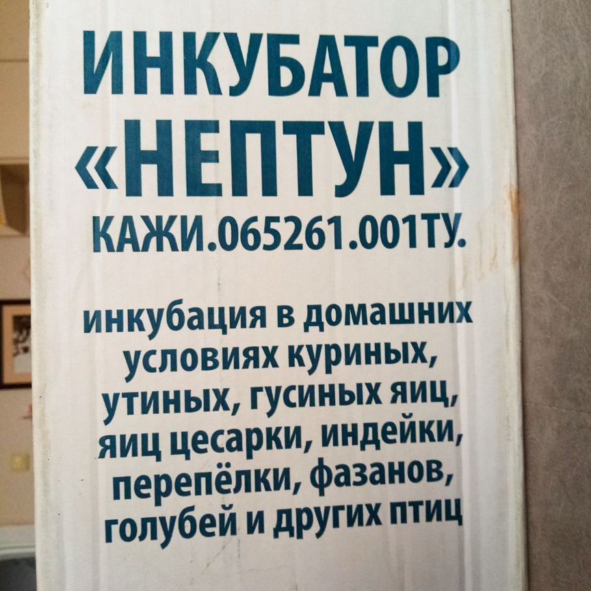 Инкубатор для яиц