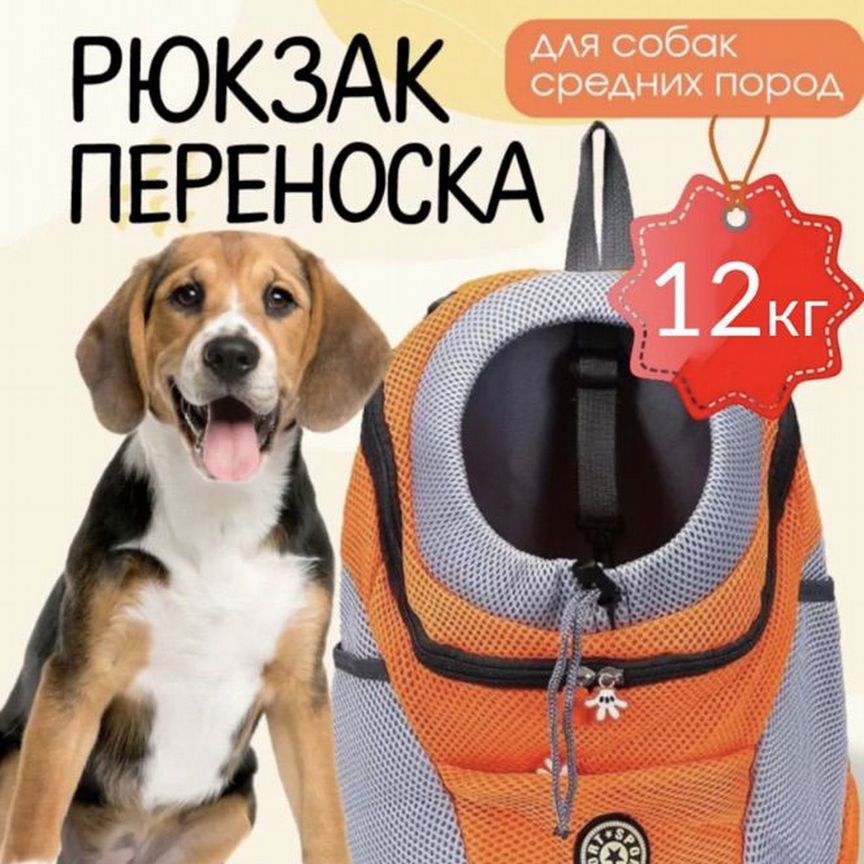 Продам рюкзак для носки собаки