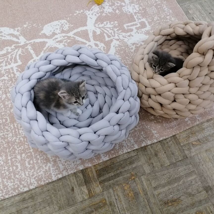Котята в добрые руки бесплатно