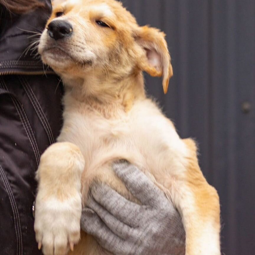 Мальчик 5 мес