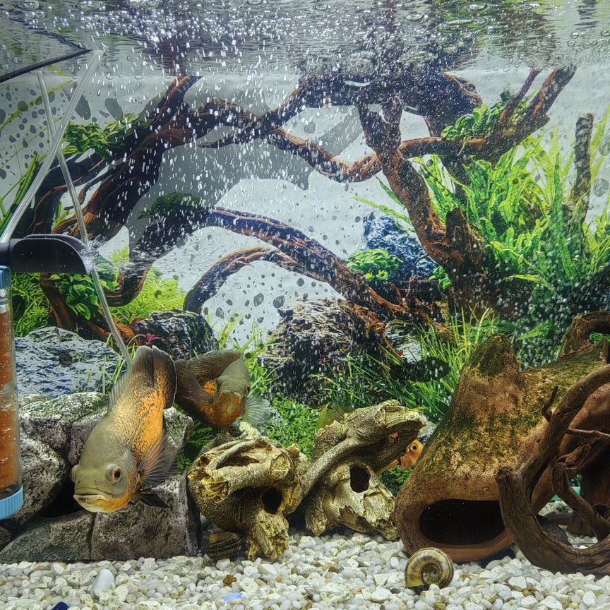 Аквариум с рыбками 140 л