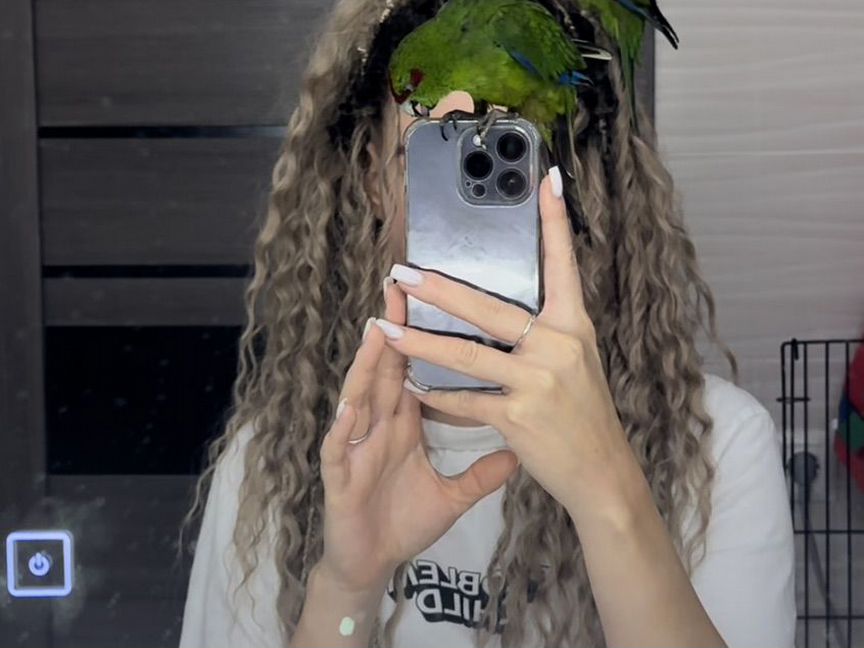 Попугаи какарики